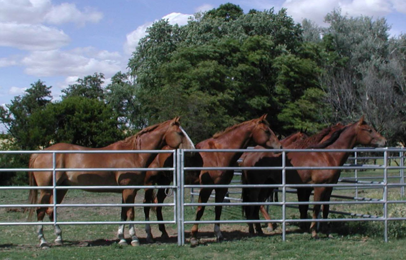 Farm & Ranch | Field Fencing – Specializing in Agricultural Fencing